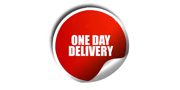 One Day Delivery – Indisaurus
